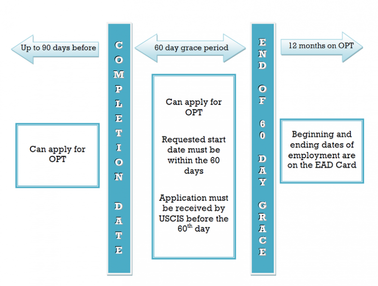 Student Employment - International