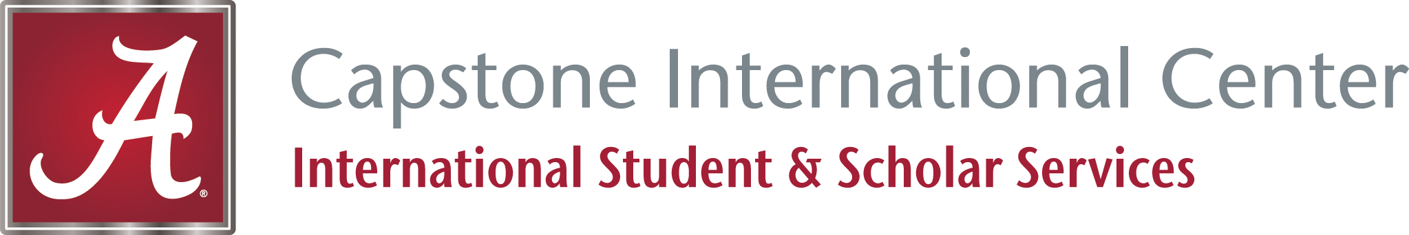 ISSS NEWSLETTER - International