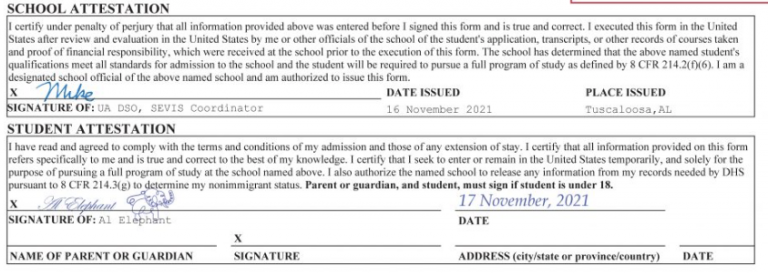 Understanding the I-20 - International