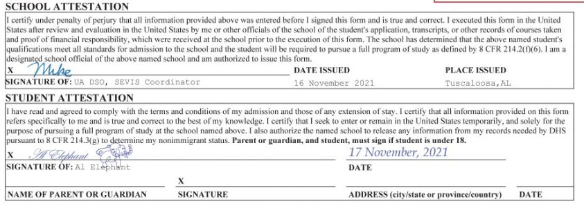 Understanding the I-20 - International