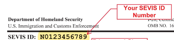 Understanding the I-20 - International