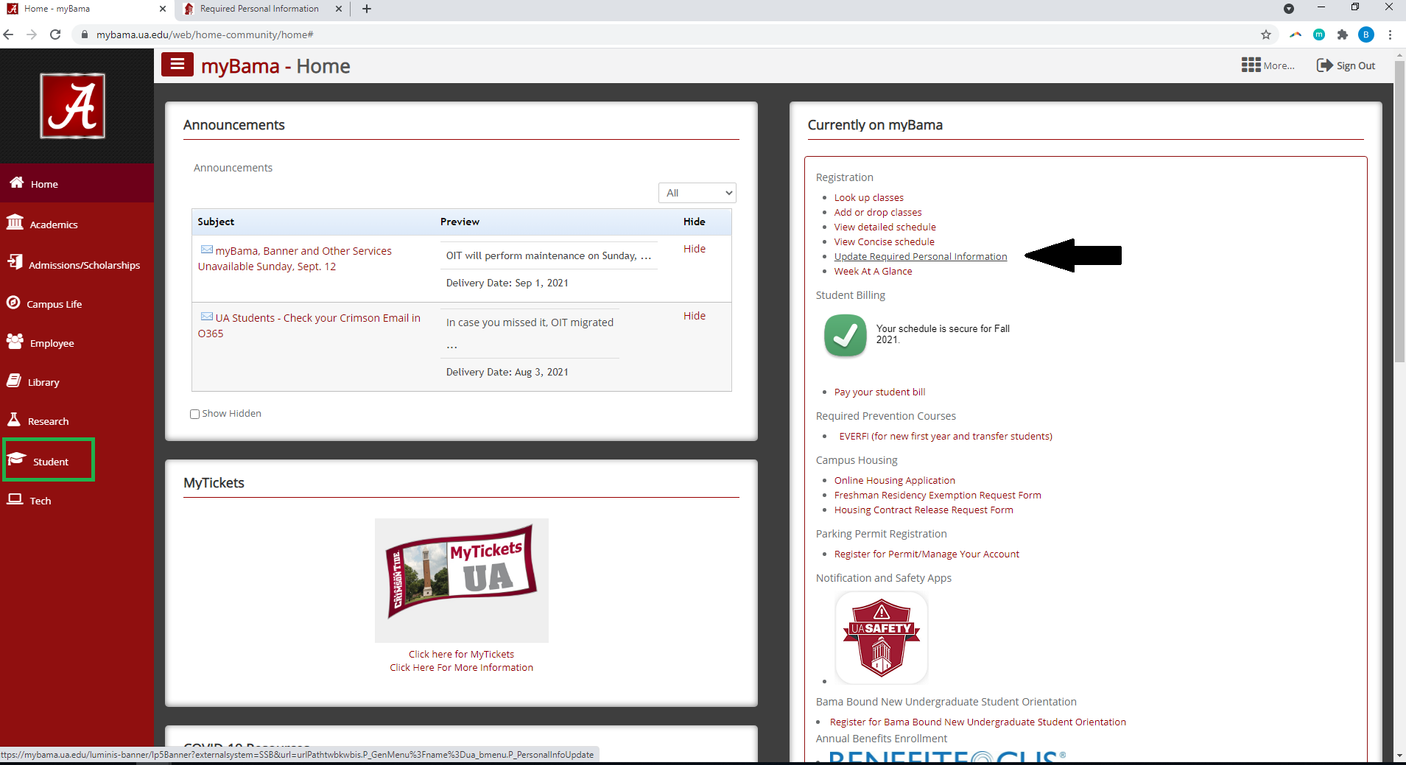 Maintaining Student Visa Status - International